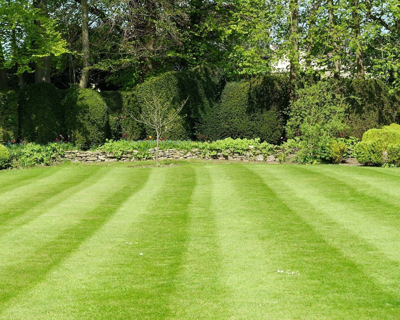 11 lawn care tips from experts to guarantee a lush lawn | Real Homes