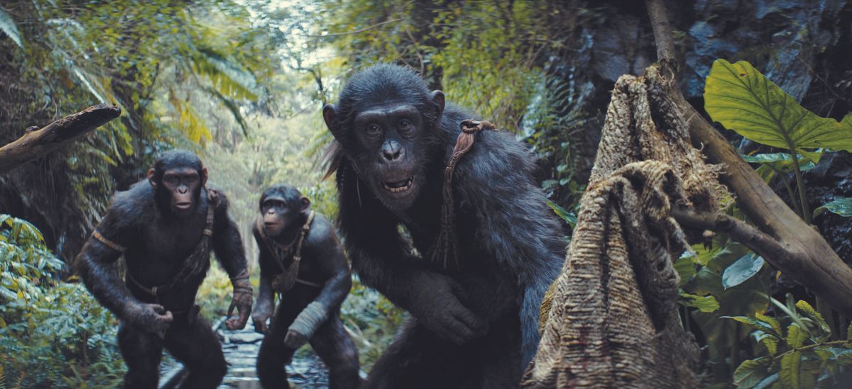 Age of the Ape: Uncovering the VFX behind Kingdom of the Planet of the ...