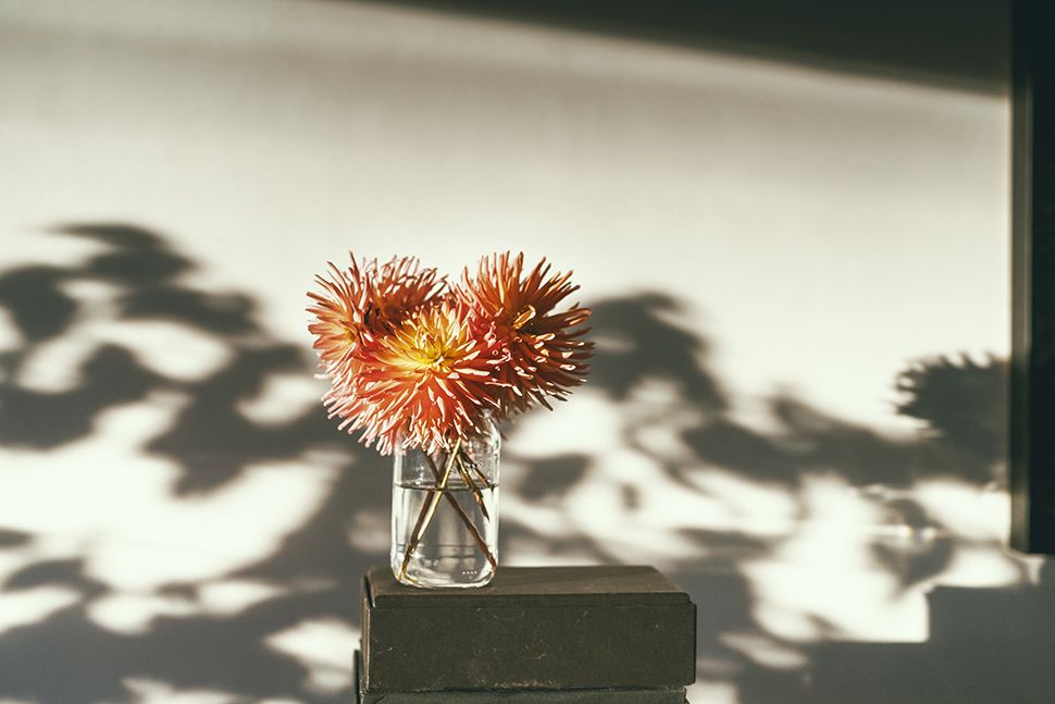 I shot this dramatic golden hour photo without leaving home | Digital ...