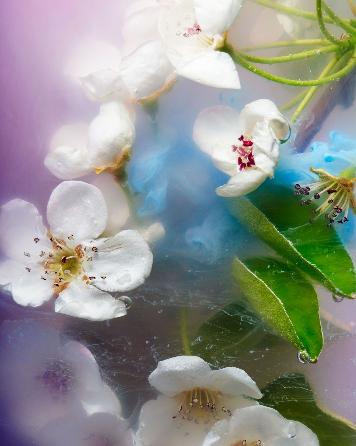 Embryos and Eggs Destroyed Due to Storage Center Malfunction - Women ...