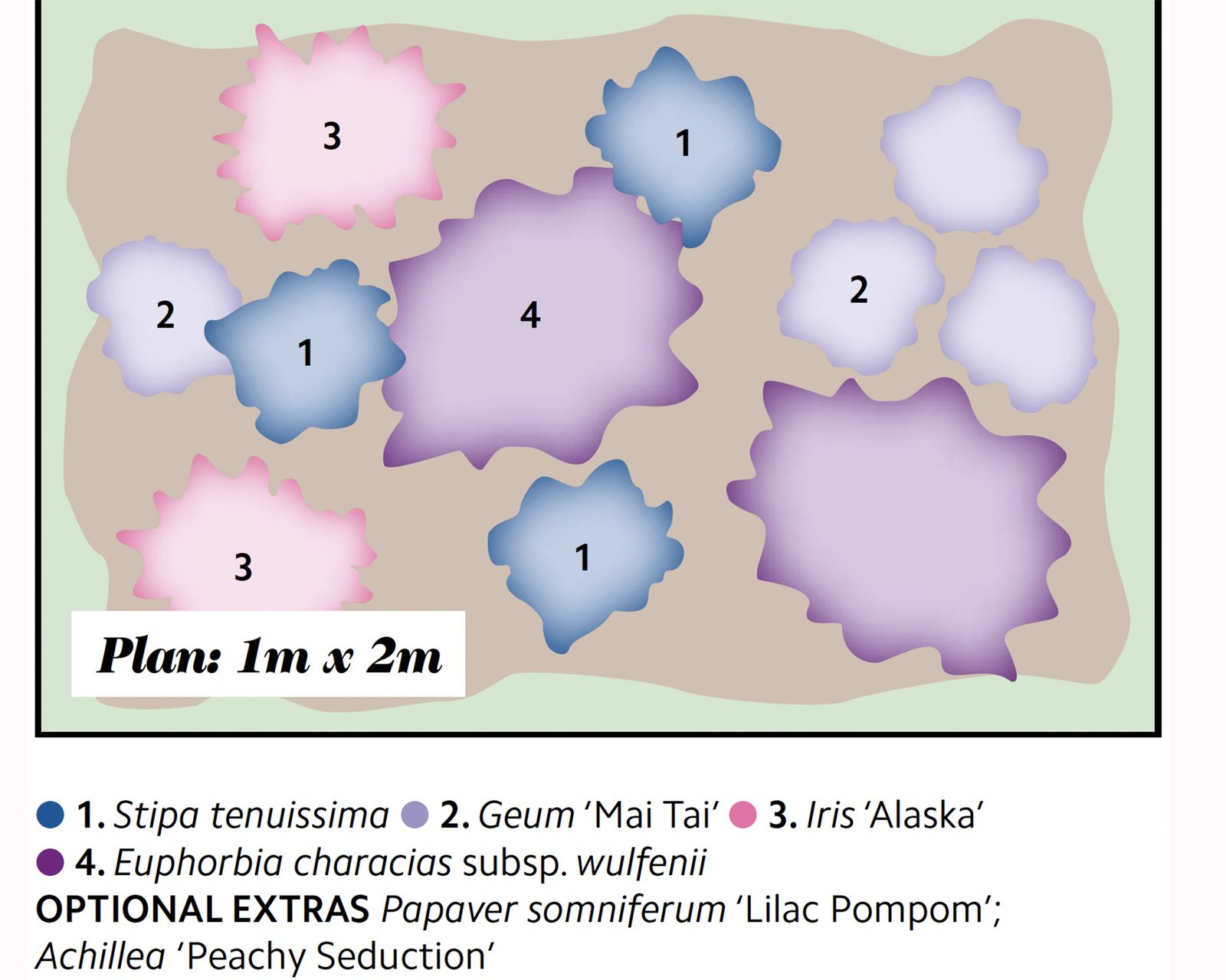 Garden border planting ideas: 6 stunning layouts to try | Gardeningetc