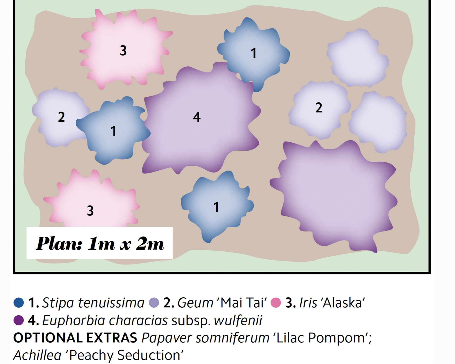 Garden border planting ideas: 6 stunning layouts to try | Gardeningetc