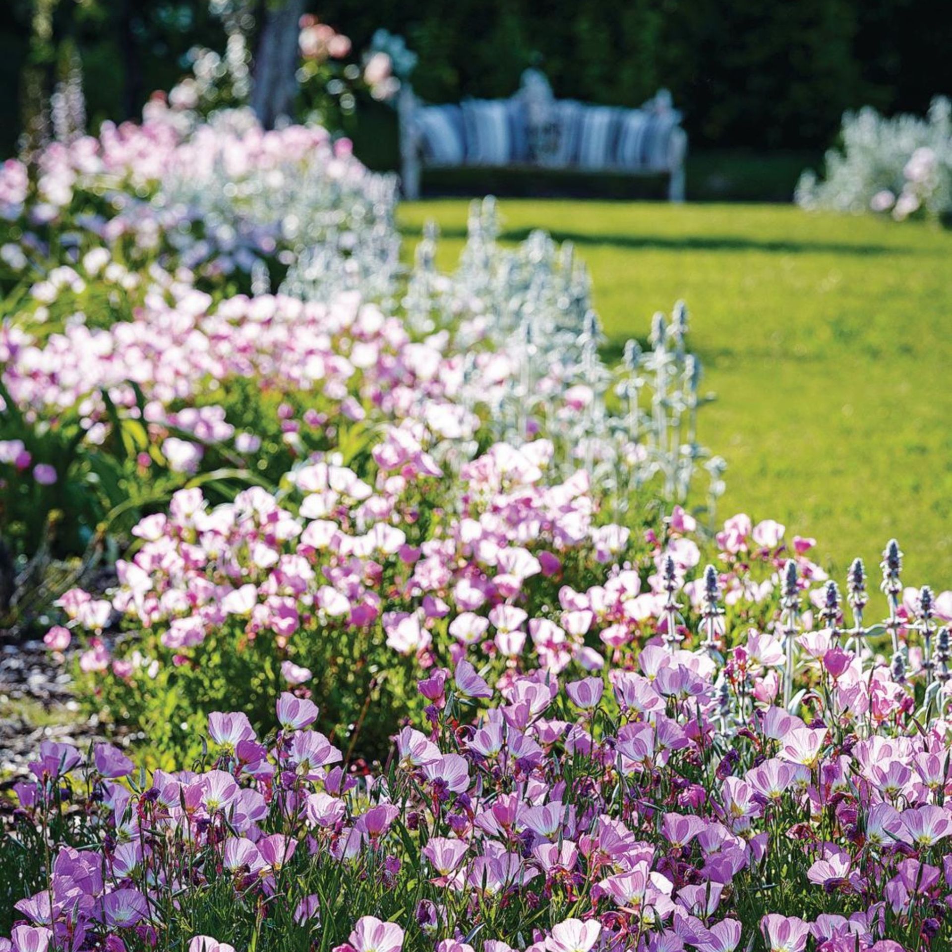 Flower bed ideas – 10 ways to create your best displays yet | Ideal Home