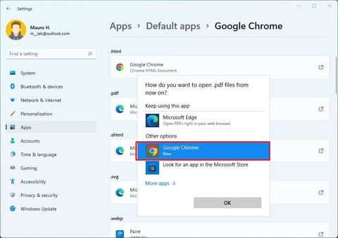 How to set any browser as the default on Windows 11 | Windows Central