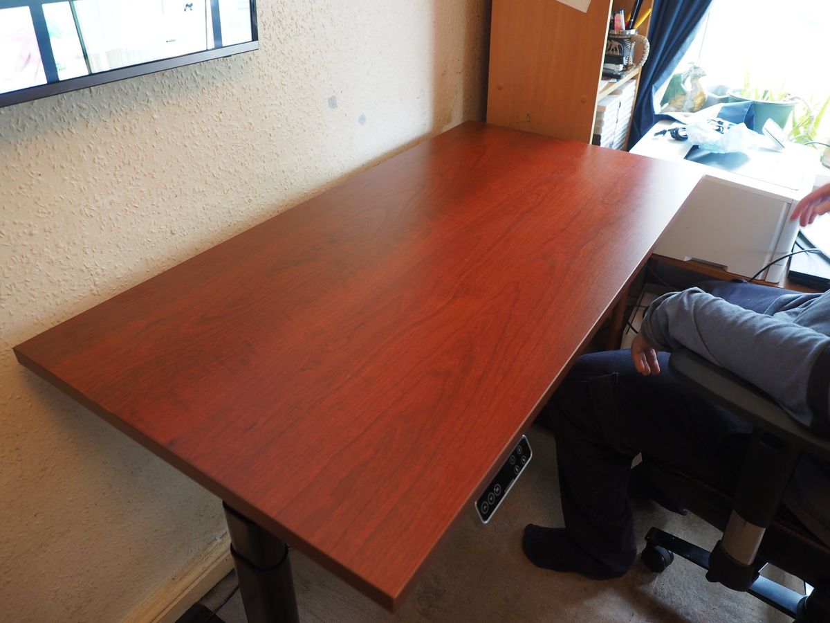 FlexiSpot E8 / EP4 electric standing desk review: Adjustable comfort ...