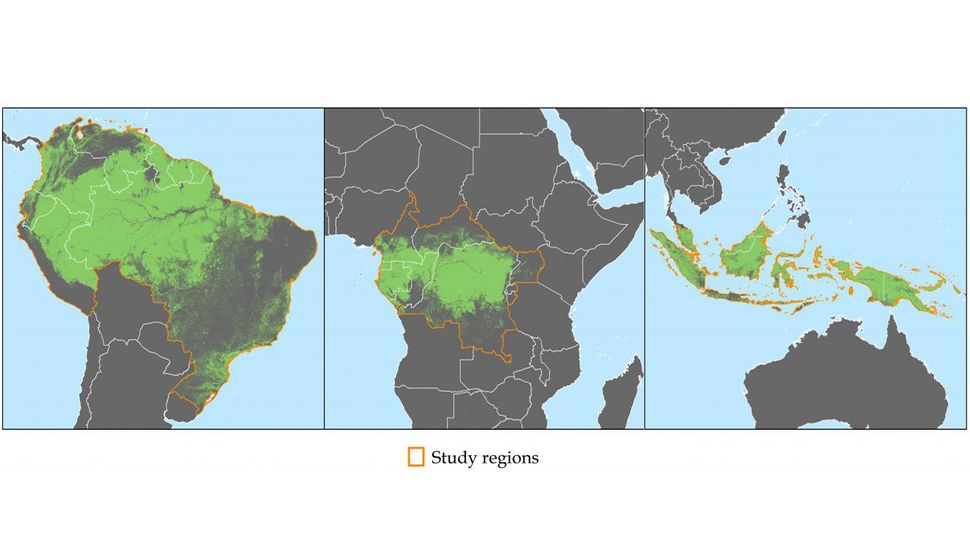 How satellites are stopping deforestation in Africa | Space