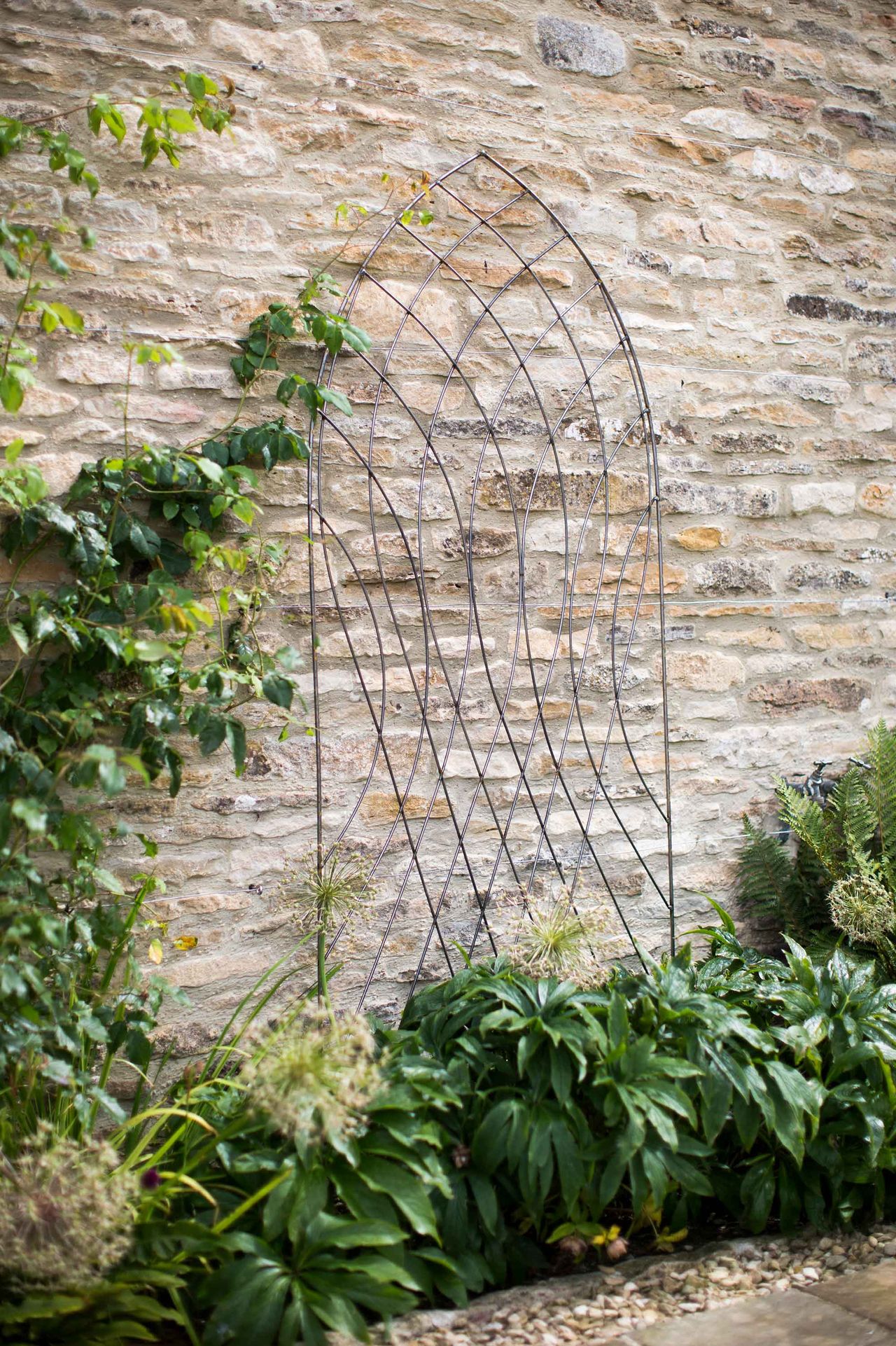 Trellis ideas for gardens: 15 chic screens to add plants, privacy and ...