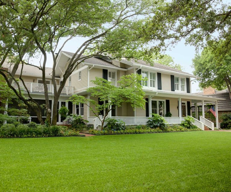 How to get rid of dallisgrass: tips for this perennial weed | Homes and ...