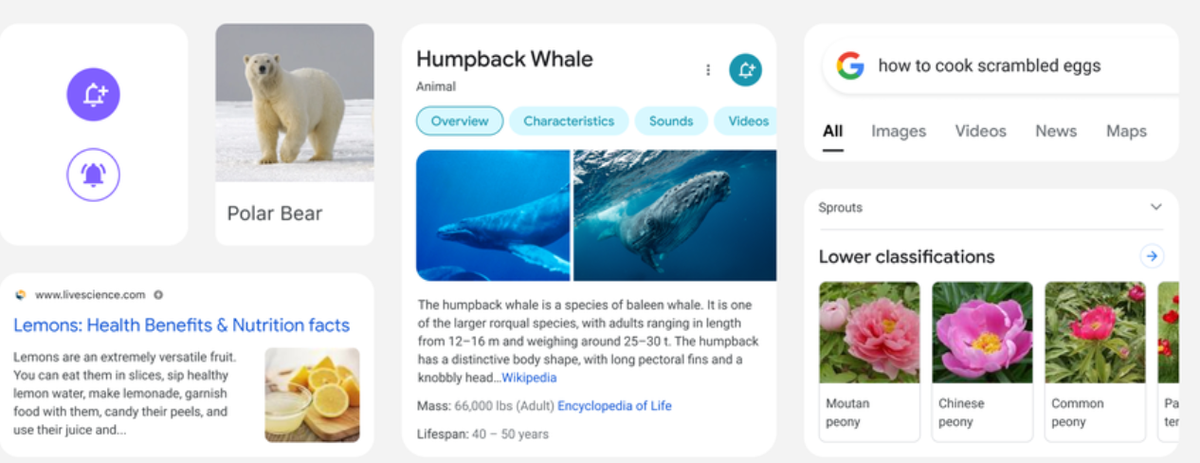Google brings design changes to its mobile & desktop searches | TechRadar
