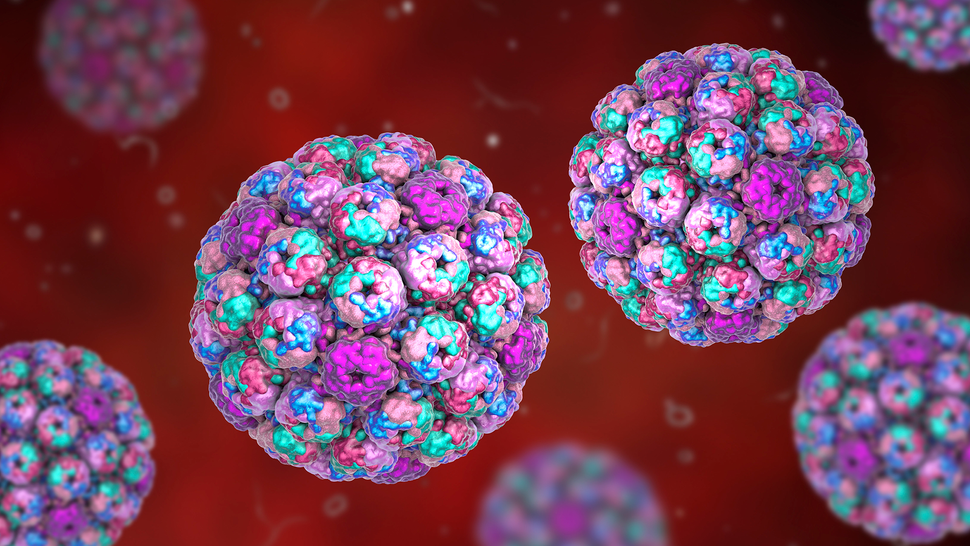 Widespread cold virus you've never heard of may play key role in ...