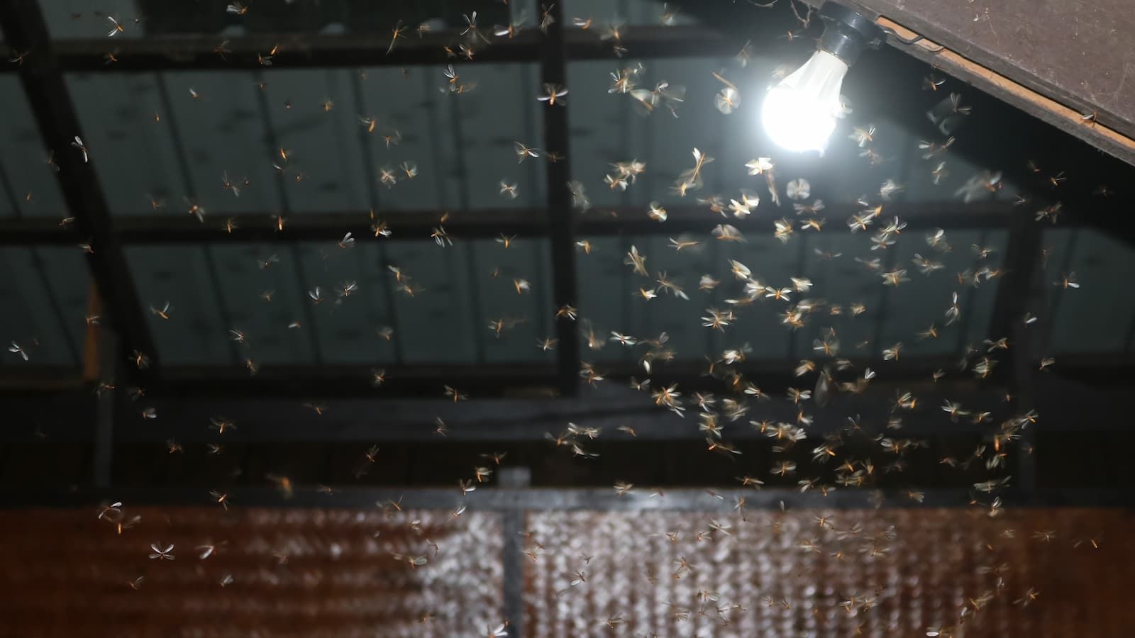 From buyer beware to seller beware? Landmark £32.5m moth mansion case ...