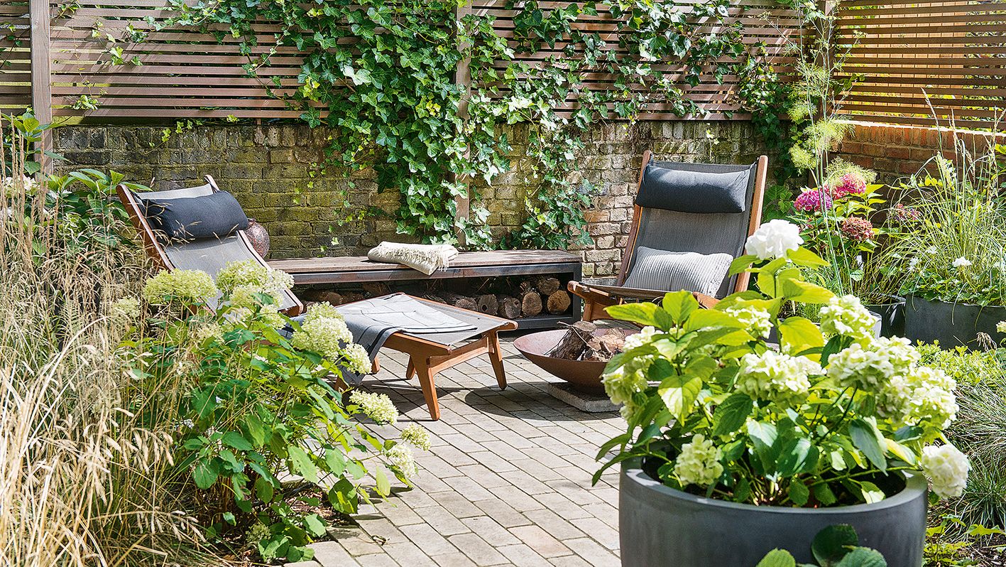 Where to buy plants online: here's our pick of the best online garden ...