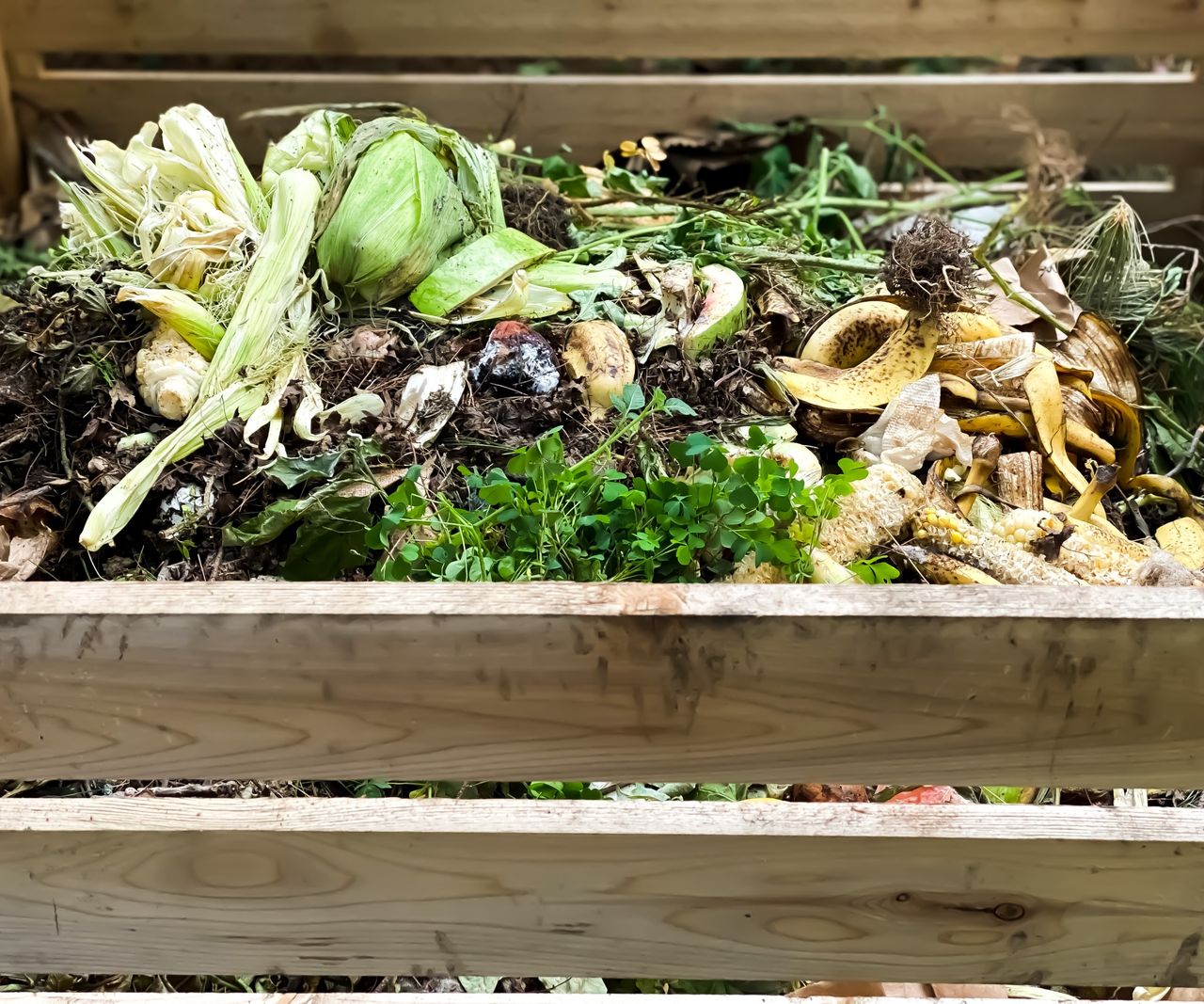 How to put urine on compost heaps: tips to improve compost | Homes and ...