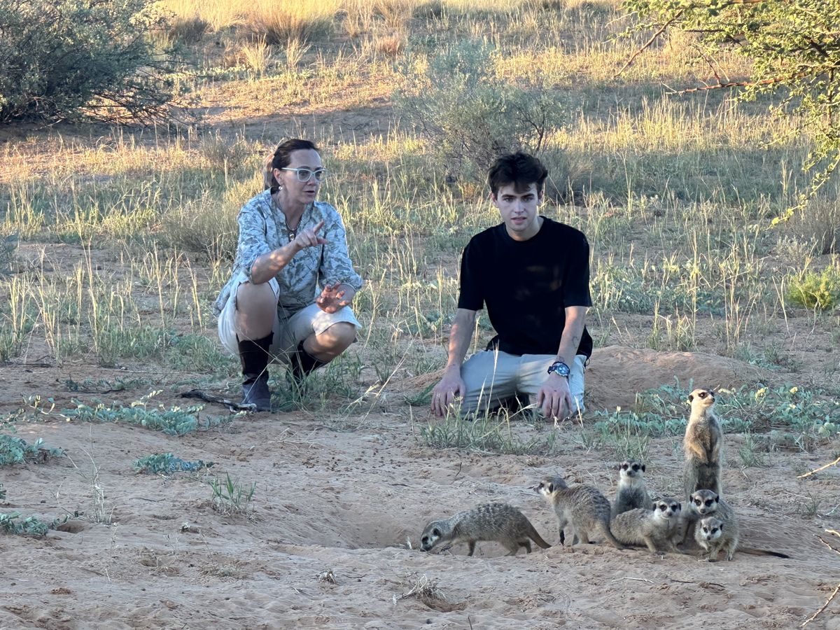 We Built a Zoo: release date, trailer and everything we know | What to ...