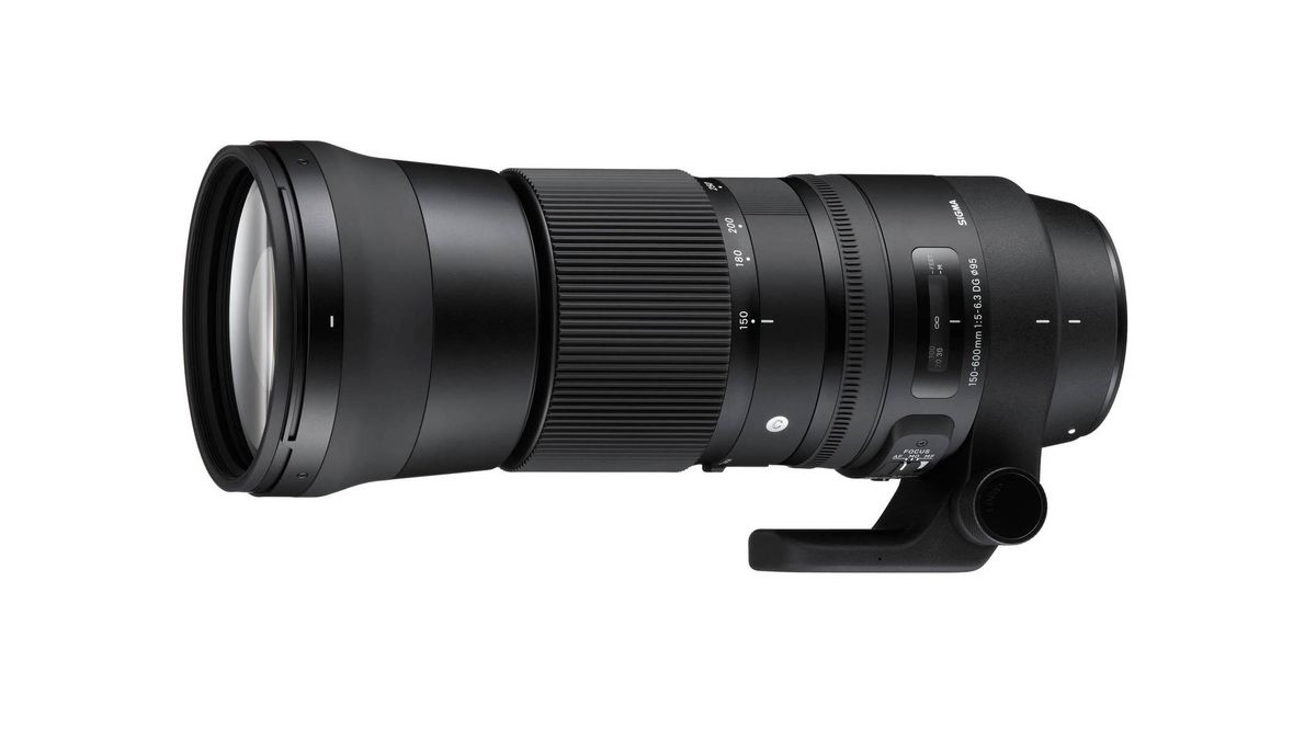 The best lenses for bird photography in 2024 | Digital Camera World