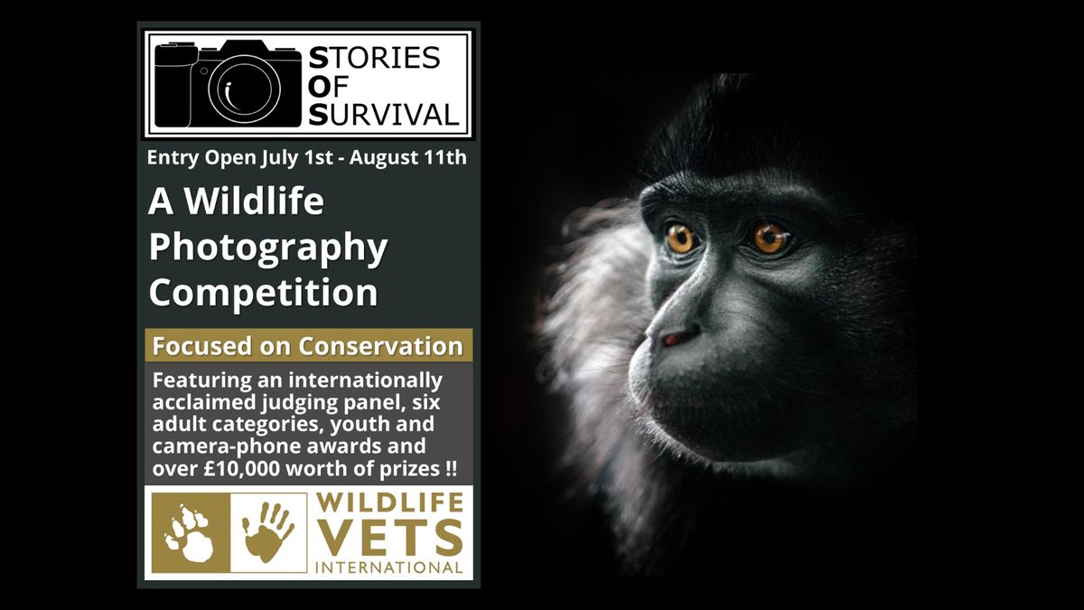 Enter this wildlife photography competition today for a chance to win ...