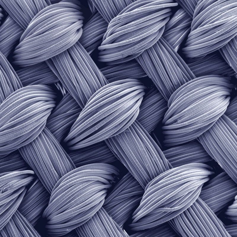 Gallery: The Art in Biomedical Research | Live Science