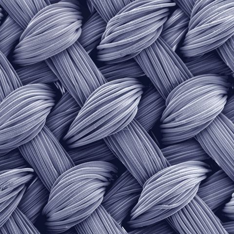 Gallery: The Art in Biomedical Research | Live Science