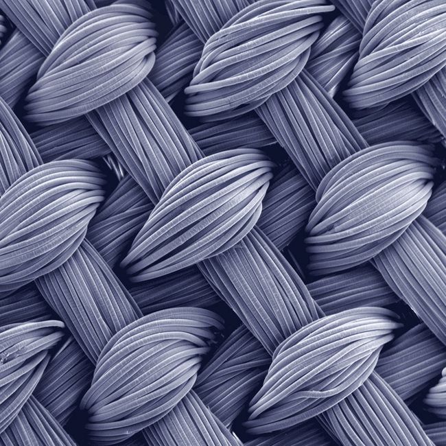 Gallery: The Art in Biomedical Research | Live Science