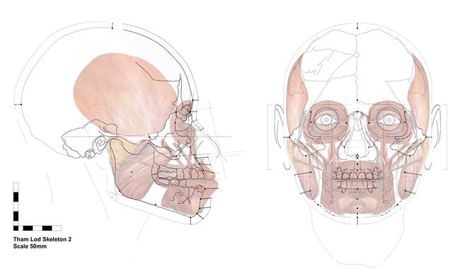 Stone Age woman had modern-looking face | Live Science