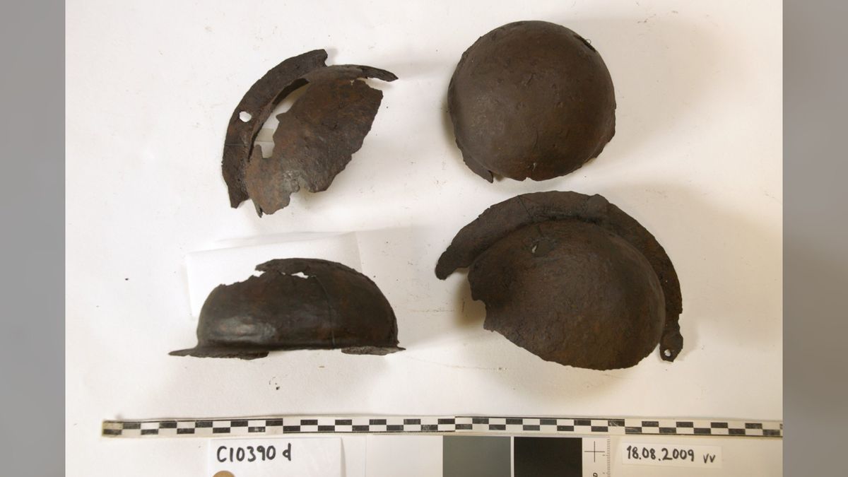 1,100-year-old 'ceremonial' Viking shields were actually used in battle ...