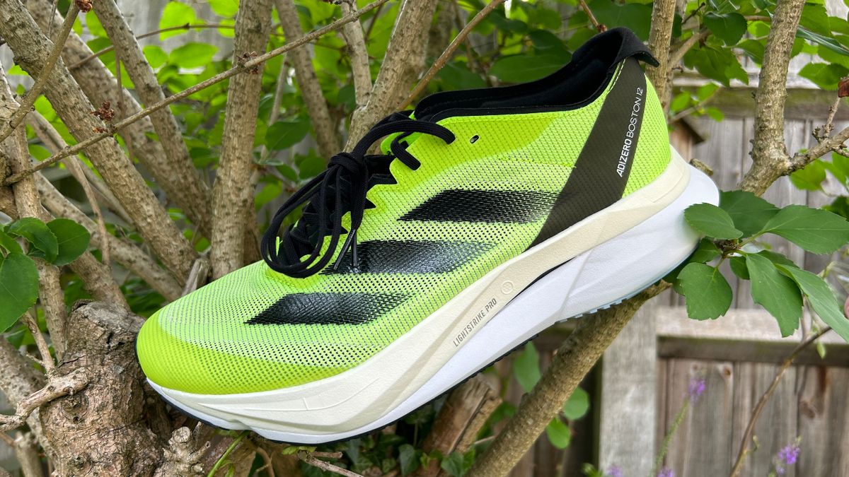 Adidas Adizero Boston 12 Review | Coach
