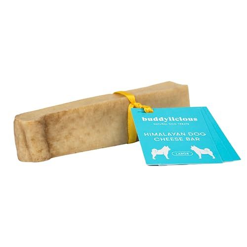 Best long lasting dog chews 2025 to keep your dog occupied | PetsRadar
