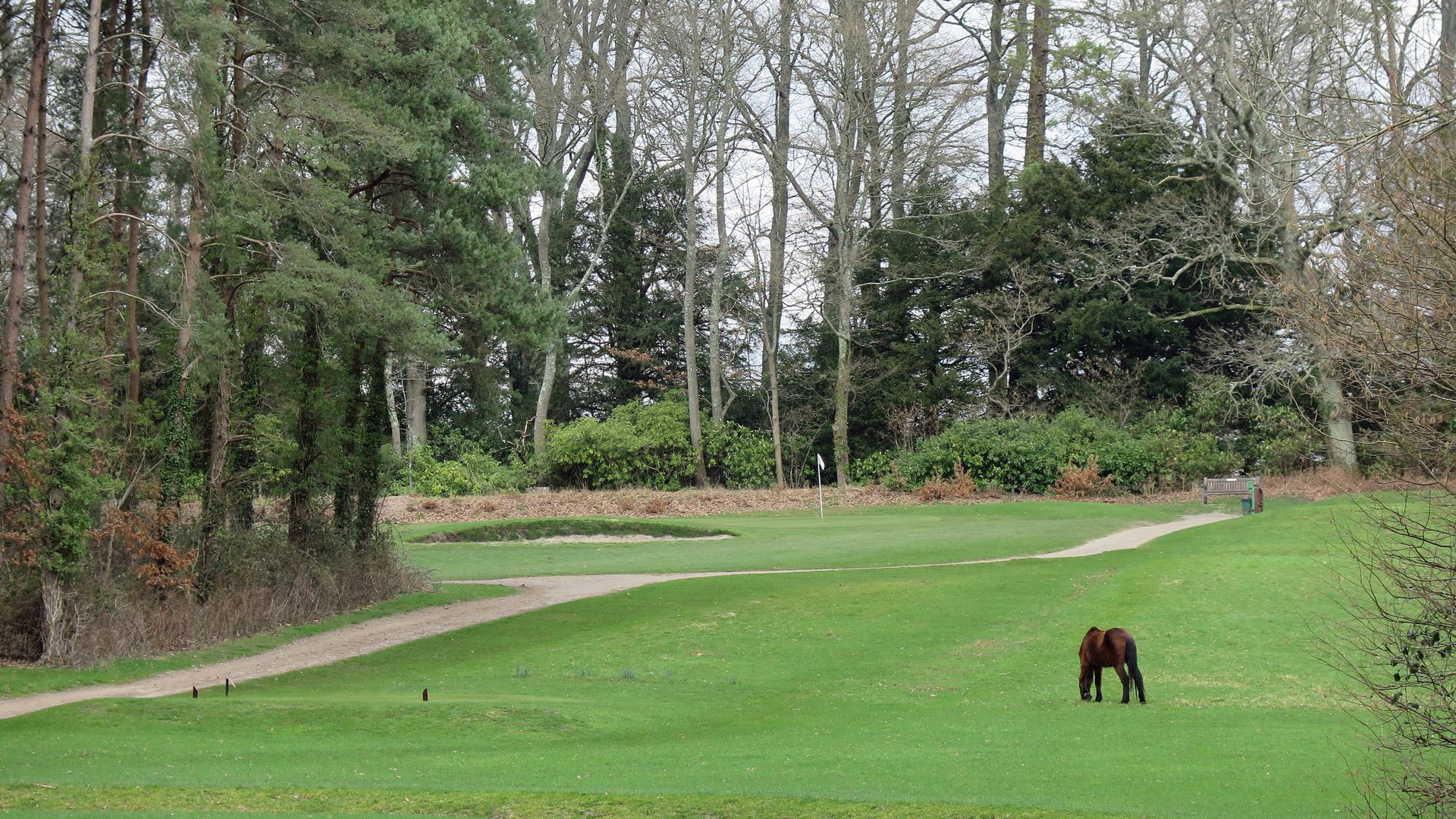 Bramshaw Golf Club Manor Course Review | Golf Monthly