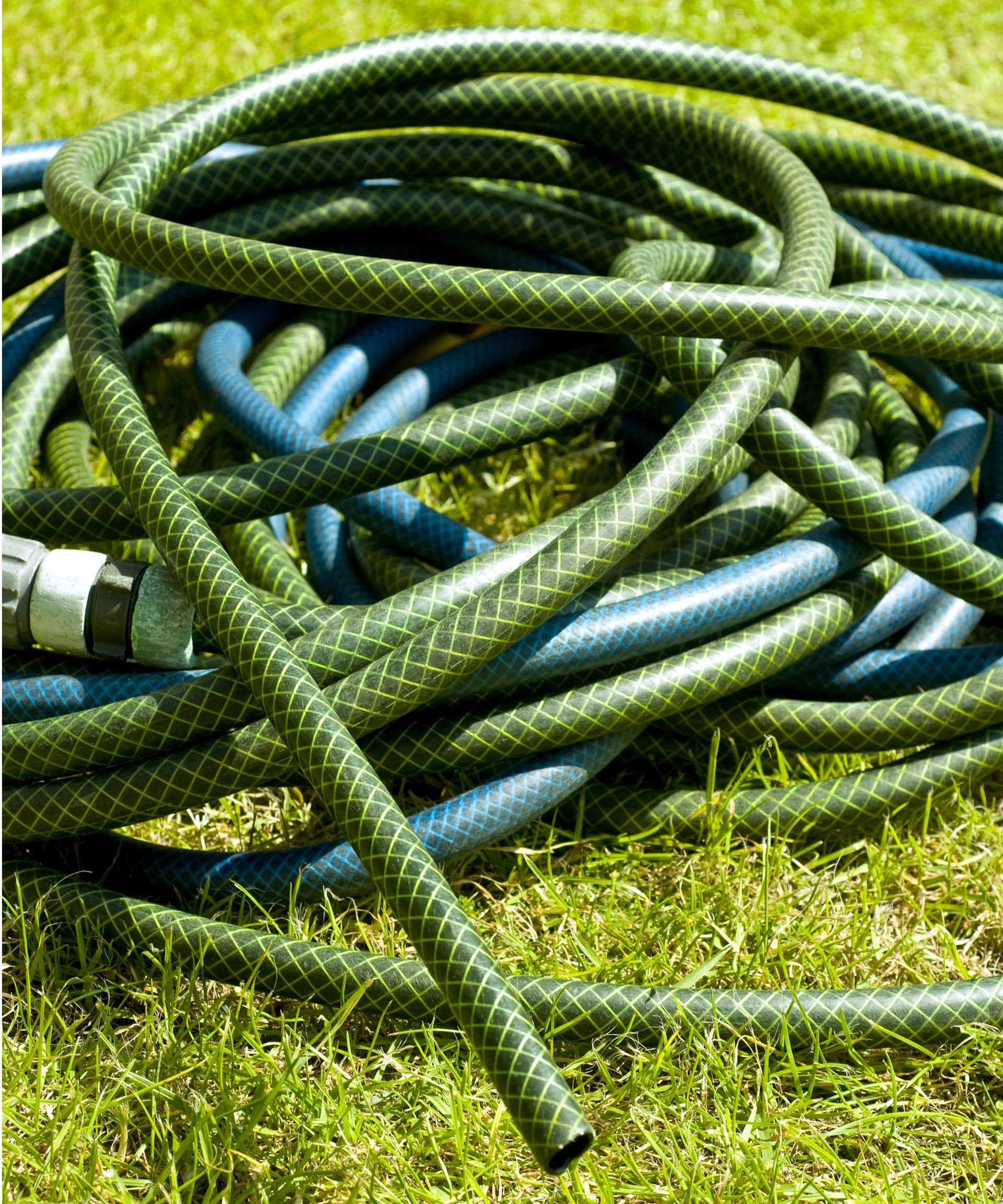 How to maintain a garden hose: 5 expert tips | Homes and Gardens