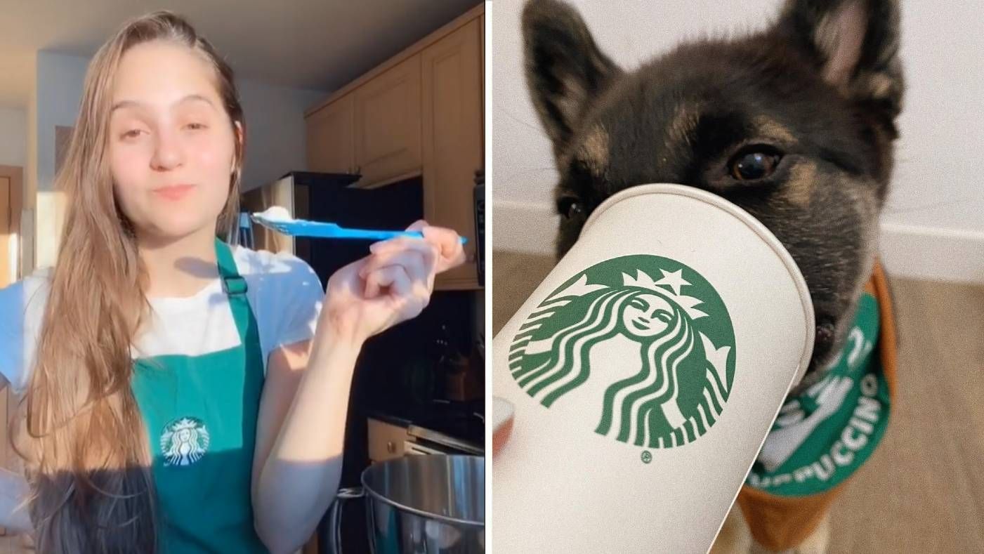 DIY Puppucino recipe: Four pup cups you can try at home | PetsRadar