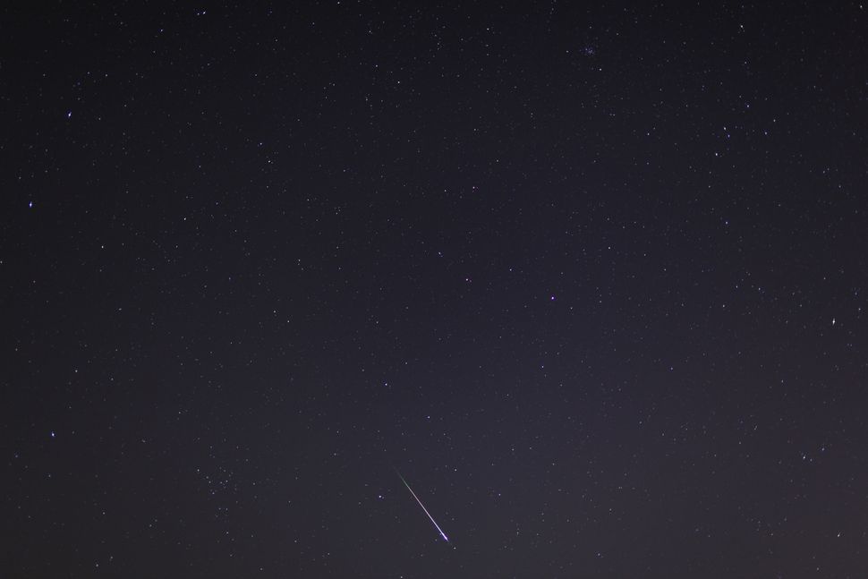 Leonid Meteor Shower of 2012 (Photos) | Space