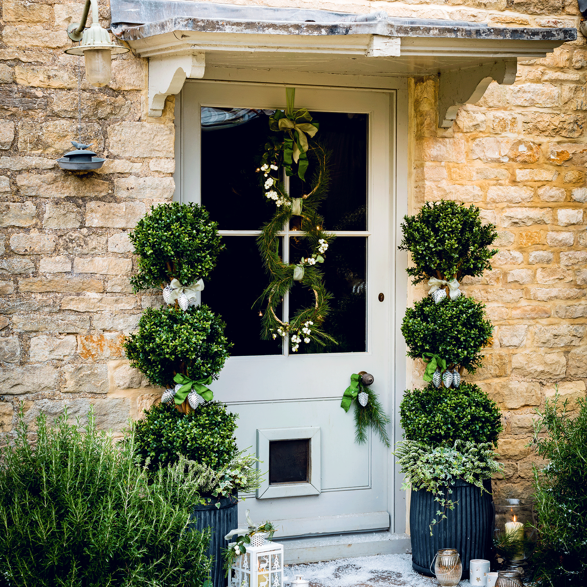 When to cut back shrubs - the importance of choosing the right time ...