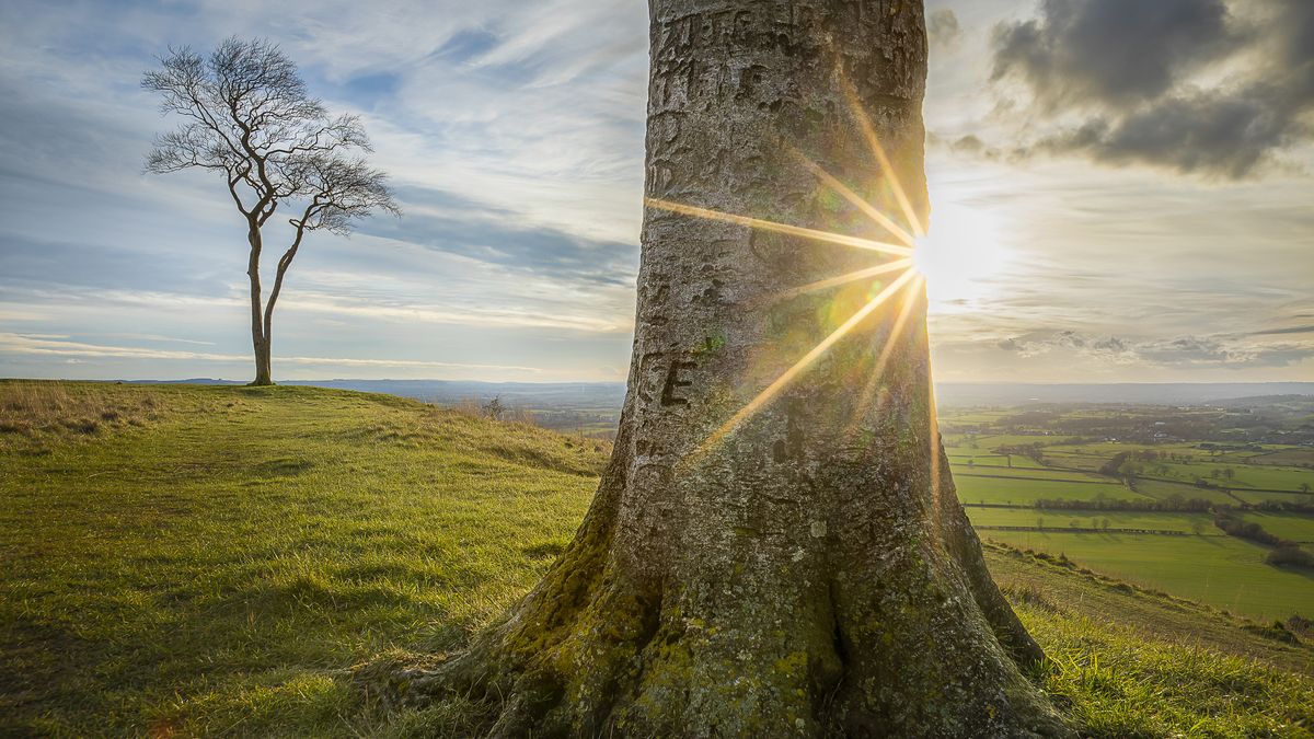 Burst onto the scene! How to achieve a stunning starburst effect in ...
