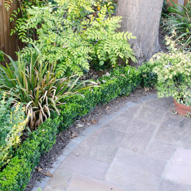 Patio edging ideas - 10 ways to create beautiful borders | Ideal Home