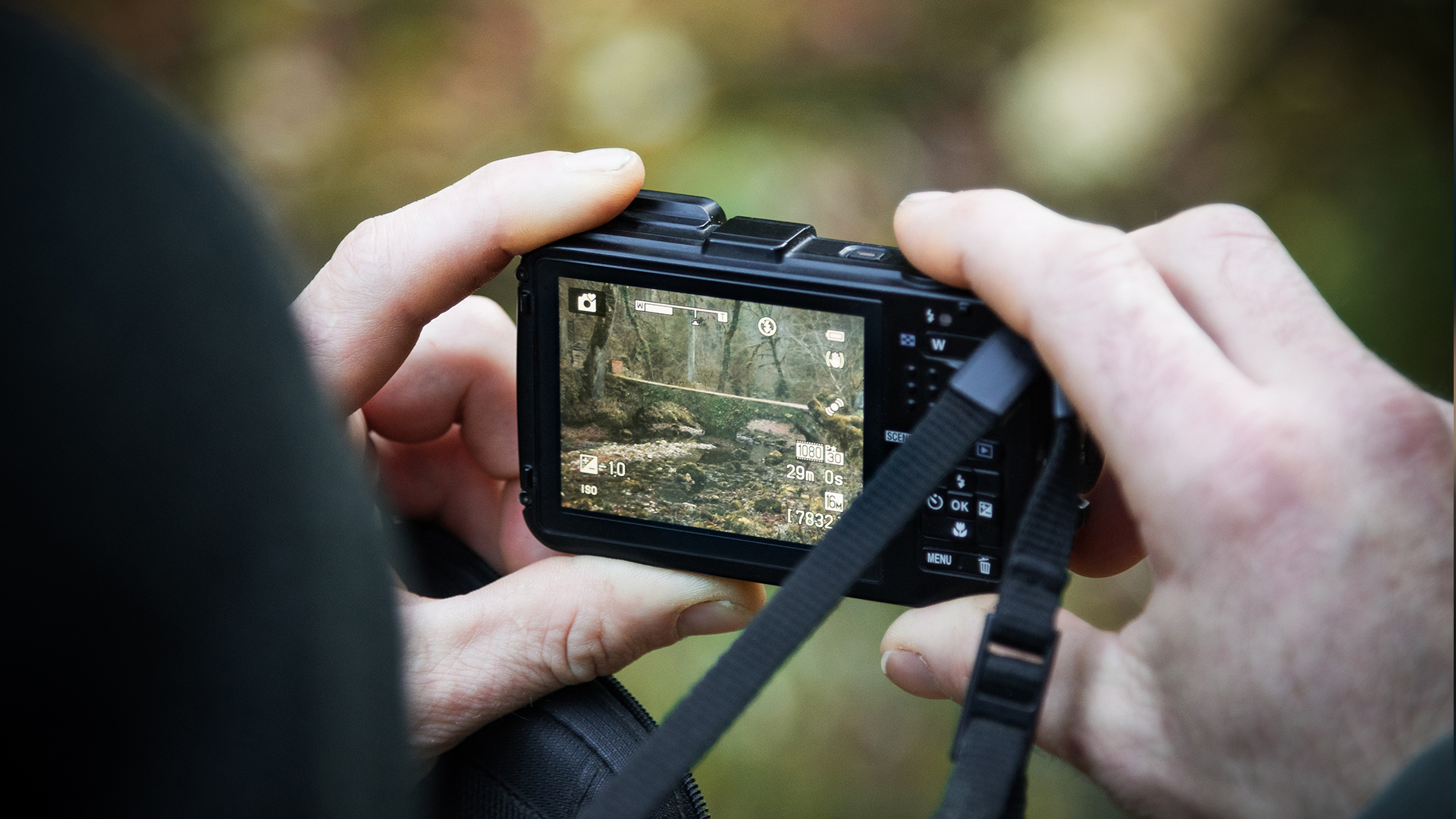 Free Flash alternative is here | Creative Bloq