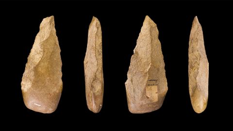 Back to the Stone Age: 17 key milestones in Paleolithic life | Live Science