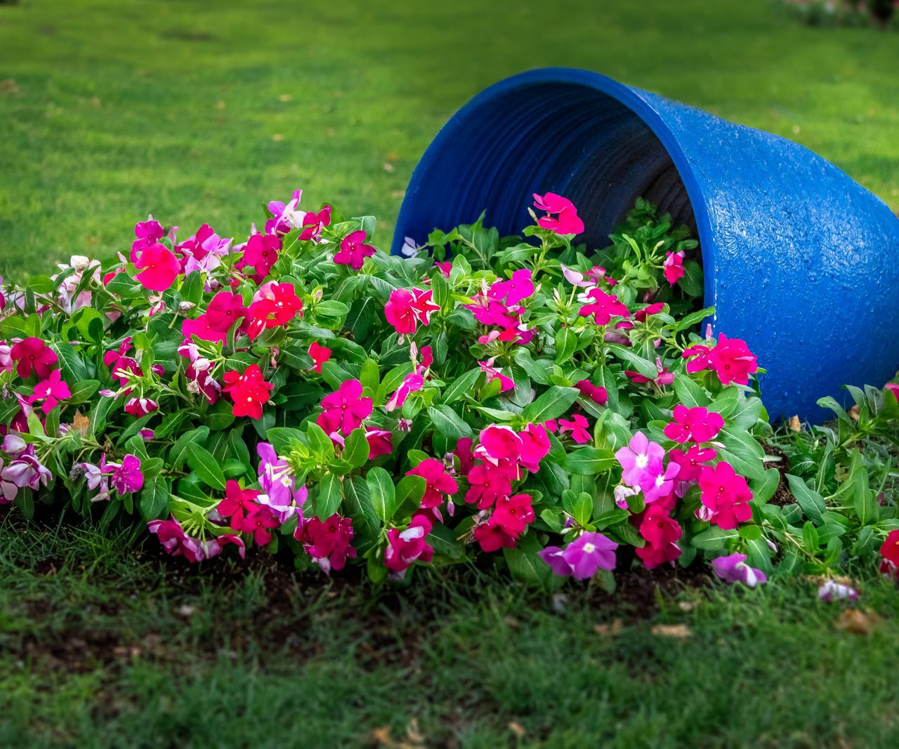 Spilled Flower Pot Ideas For Whimsy in Your Garden | Gardening Know How