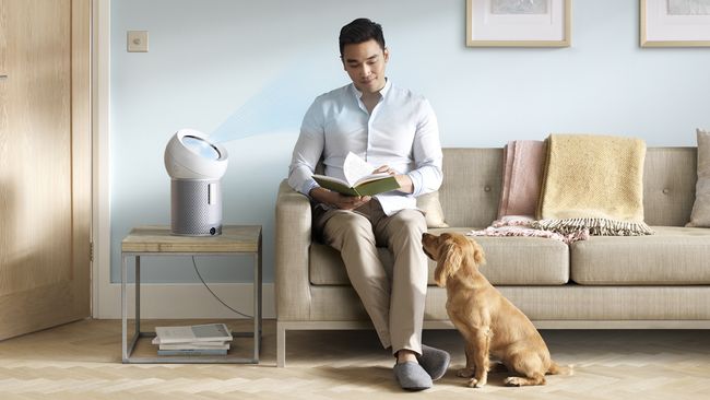 Dyson taps into the wellness trend with new smart light and purifying ...