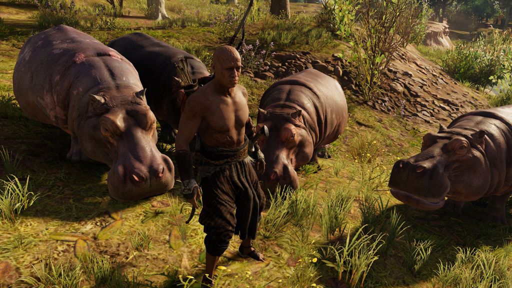 Building a hippo army in Assassin's Creed Origins | PC Gamer