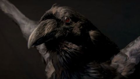 The Sandman Cast: Where You've Seen The Stars Of Netflix's DC TV Show ...