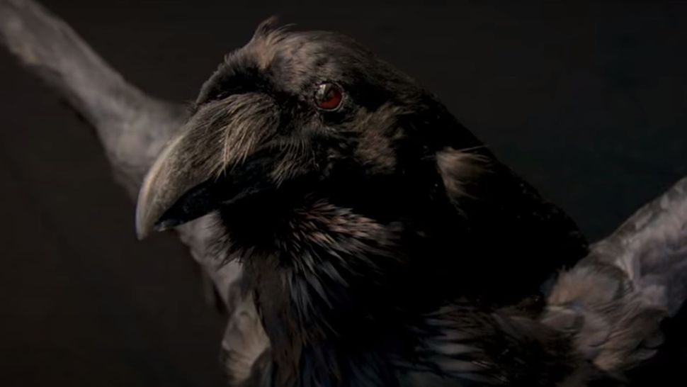 The Sandman Cast: Where You've Seen The Stars Of Netflix's DC TV Show ...