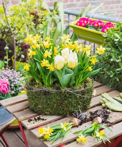 Outdoor Easter decor ideas — 7 cute ideas for your backyard | Real Homes