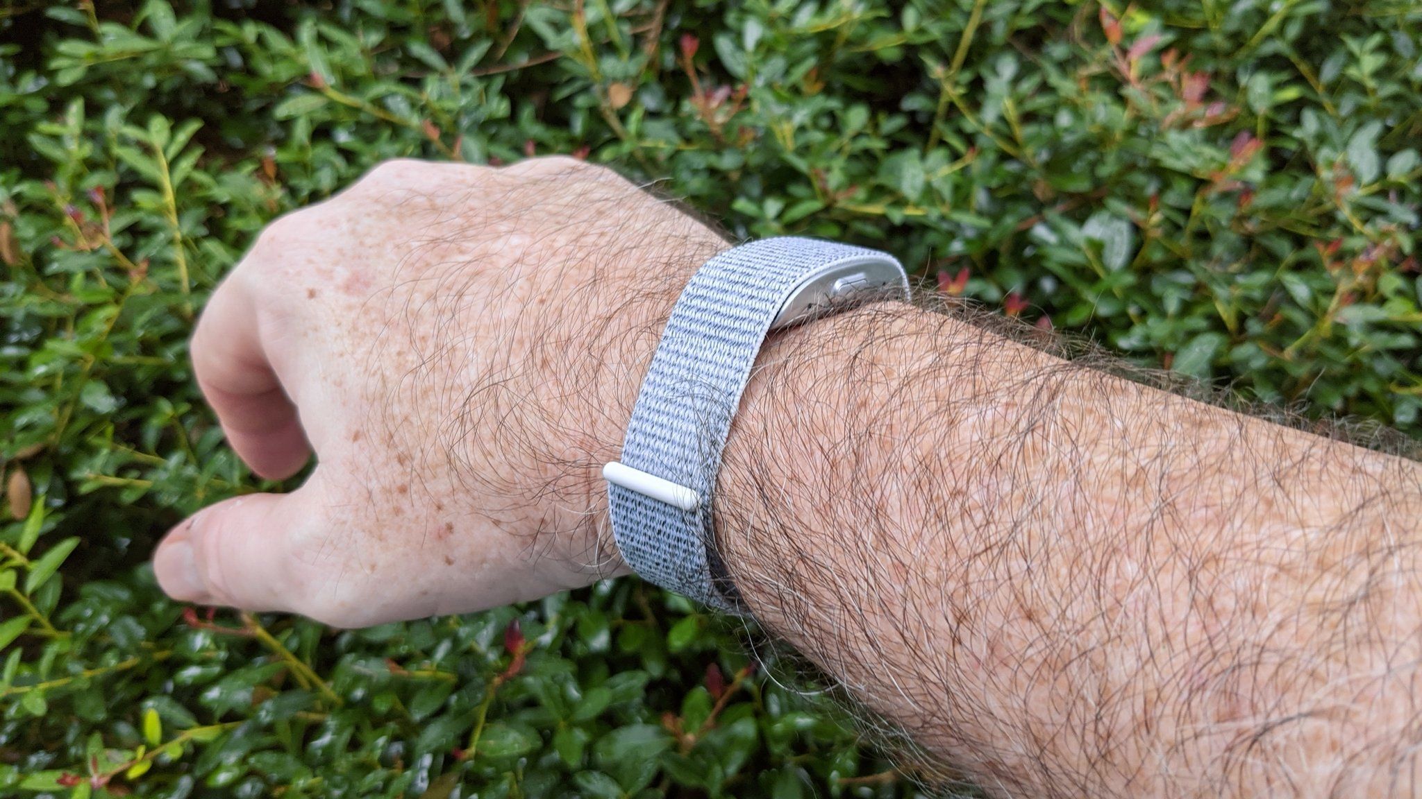 Amazon Halo review: This fitness tracker knows you inside and out ...