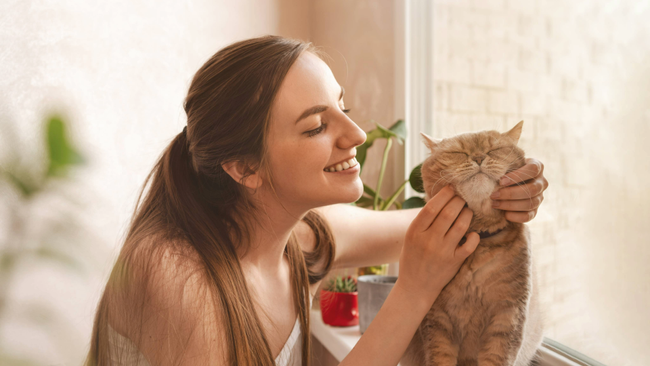 How to be a good cat owner: Top tips from a vet | PetsRadar