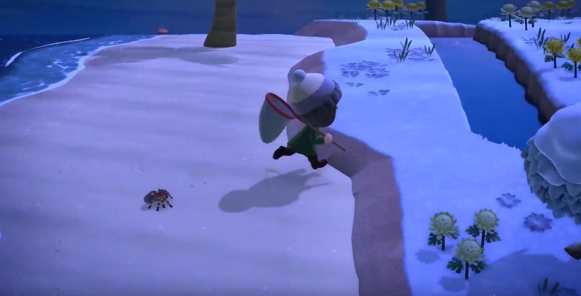 Animal Crossing: New Horizons — How to spawn and catch infinite ...