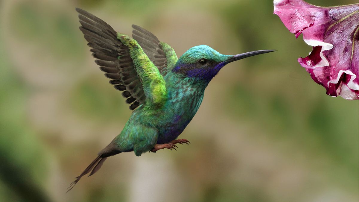 AI could 'disappear into the background' in 2025, says Shutterstock ...