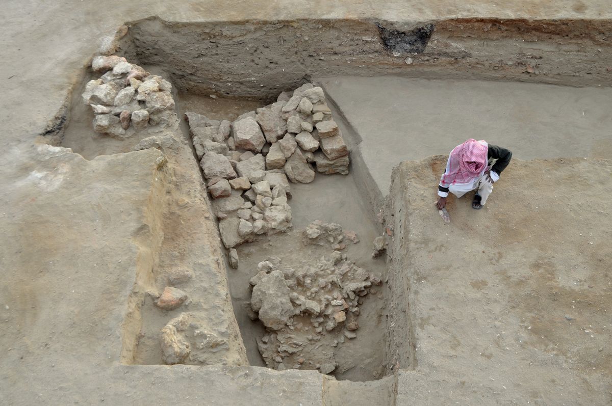 This 2,300-Year-Old Egyptian Fortress Had an Unusual Task: Guarding a ...