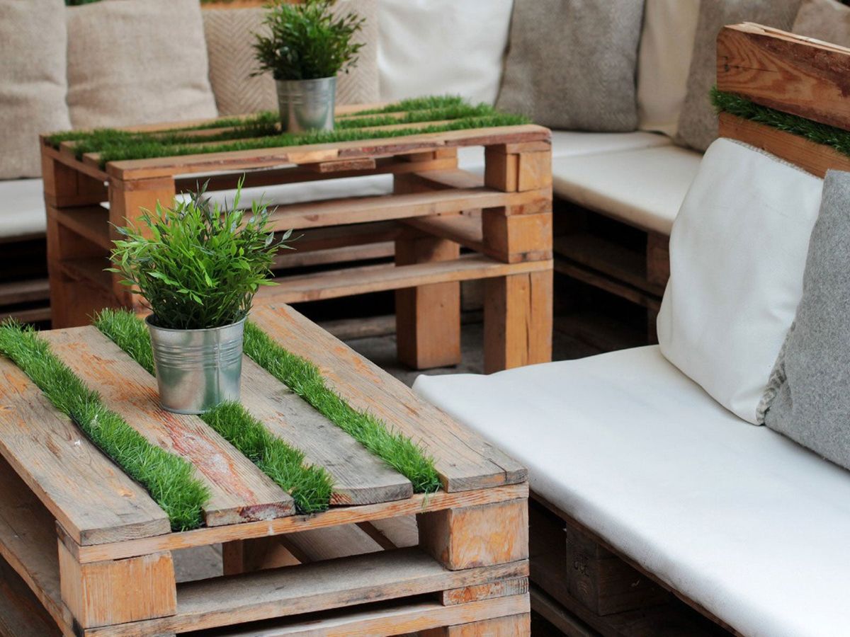 Can You Grow A Table Of Grass: Planting Tabletop Grass For Decoration ...