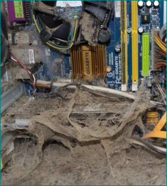 In Pictures: 40 Dirty PC Environments: Page 4 | Tom's Hardware