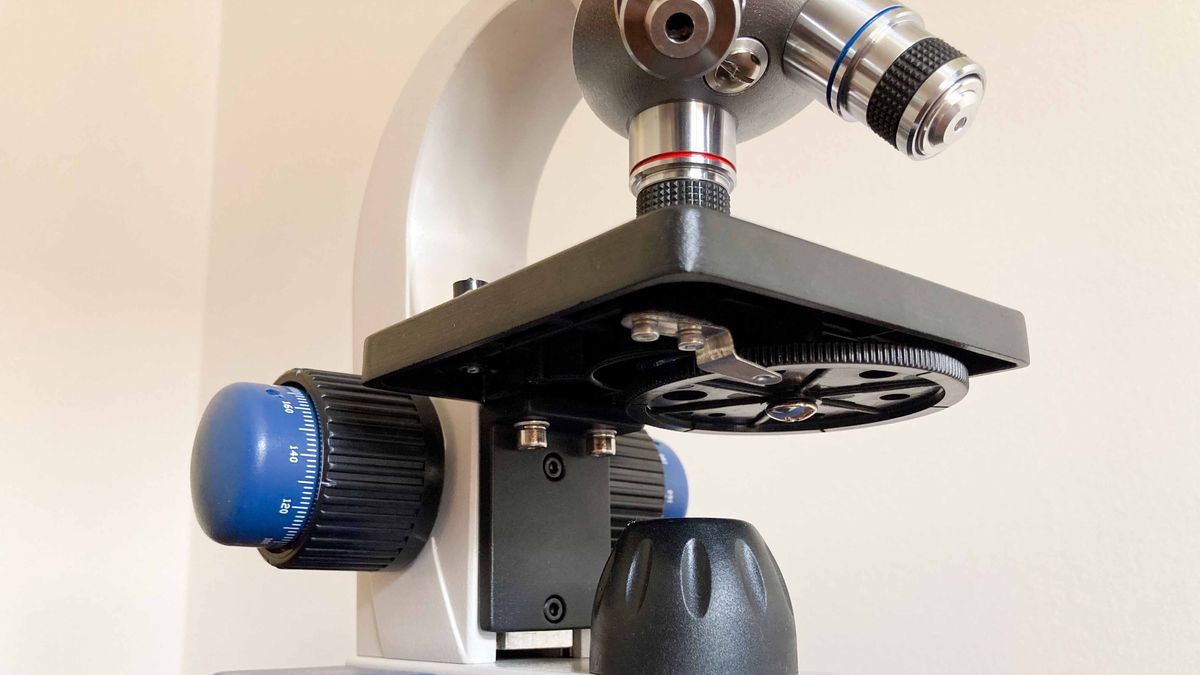Best microscopes for students 2025 | Live Science